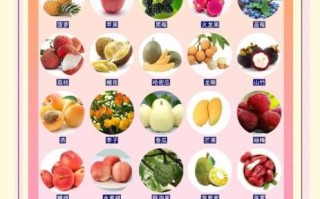 中暑吃什么水果好_中暑后吃什么水果能快速恢复