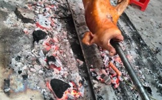 烤乳猪培训多少钱_学烤乳猪多久能学会