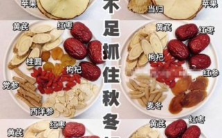 冬季滋补吃什么好_如何科学进补不上火