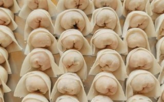 鱼肉饺子馅怎么调才嫩_正宗做法窍门