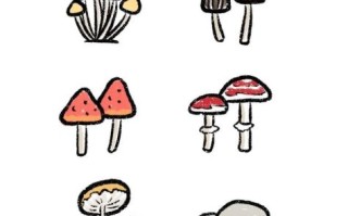 蘑菇图片大全卡通_蘑菇卡通图片怎么画