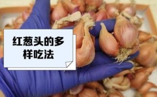 红葱头怎么保存_红葱头与洋葱区别