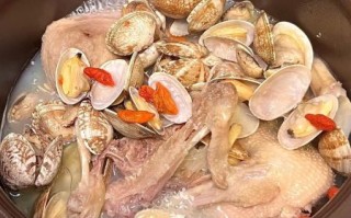 水煮蛤蜊怎么煮才干净_水煮蛤蜊要不要焯水