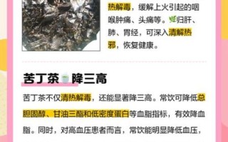 长期喝苦丁茶的副作用_苦丁茶能天天喝吗