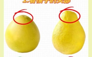 柚子图片大全高清图片_如何挑选无水印素材