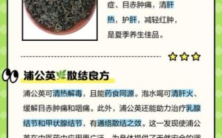 长期喝蒲公英的坏处_蒲公英泡水禁忌