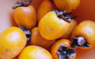 自制柿子干的做法_如何保存不返潮