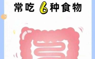便秘吃什么食物好_便秘食疗法真的有用吗