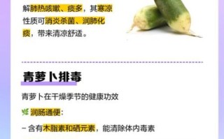 青萝卜的功效与作用是什么_青萝卜怎么吃最健康