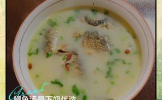 鲫鱼汤下奶的做法大全_鲫鱼汤怎么炖才下奶