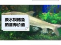 银鳕鱼一斤多少钱_银鳕鱼价格为什么差距大