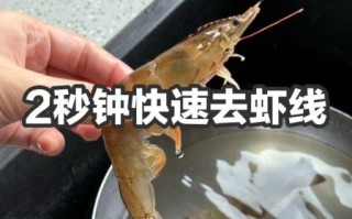 熟虾怎么去虾线_熟虾去虾线的绝招