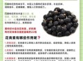 黑枸杞有什么功效与作用_黑枸杞怎么吃效果最好