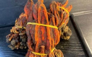 壮阳草药图片大全_哪些草药真正有效