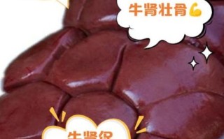 牛肾图片_牛肾解剖结构图怎么看