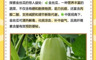 金丝瓜怎么做好吃_金丝瓜最简单的家常做法