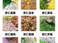 虾仁饺子馅怎么做好吃_虾仁饺子馅的秘诀