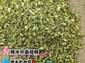 生槐米与炒槐米的功效区别_生槐米和炒槐米哪个更适合降火