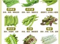 豆类大全名称有哪些_常见豆类品种怎么区分