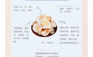 新鲜海底椰怎么挑选_海底椰煲汤做法大全