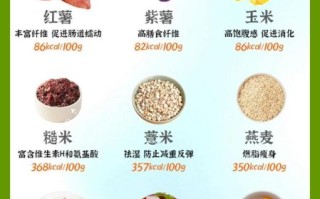 低热量主食有哪些_减肥期间主食怎么选