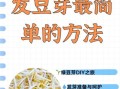 绿豆芽怎么种_家庭最简单做法