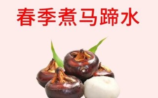 马蹄是什么意思_马蹄的功效与作用