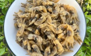 蛏子干怎么炒好吃_蛏子干炒前怎么处理