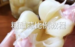 糖蒜怎么腌制_糖蒜的腌制方法比例