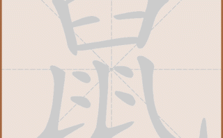 老鼠的拼音怎么写_老鼠拼音声调是几声