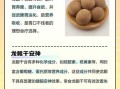 龙眼干泡水喝的功效与作用_龙眼干泡水会上火吗