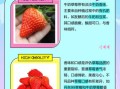草莓牛奶什么意思污_草莓牛奶网络梗解析