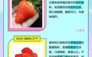 草莓牛奶什么意思污_草莓牛奶网络梗解析