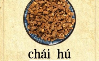 醋柴胡的功效与作用_醋柴胡与柴胡区别