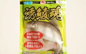 鲮鱼用什么饵最好钓_钓鲮鱼饵料配方大全