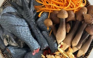 孕妇乌鸡汤的做法_孕妇喝乌鸡汤的禁忌