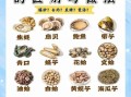 贝类海鲜的营养价值_贝类海鲜的功效与作用