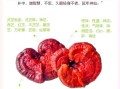灵芝泡水喝的禁忌_肿瘤医生为什么不推荐