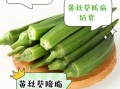 黄秋葵叶能吃吗_黄秋葵叶的功效与作用