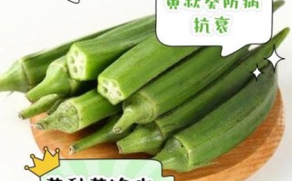 黄秋葵叶能吃吗_黄秋葵叶的功效与作用