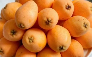 清肺的水果有哪些_吃什么水果能清肺 清肺的水果有哪些_吃什么水果能清肺