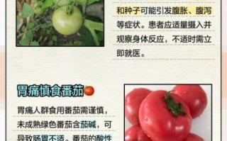 经常吃番茄酱的坏处_番茄酱吃多了有什么危害