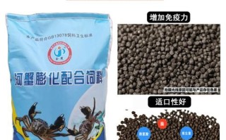 河蟹吃什么东西在家养_河蟹饲料配方