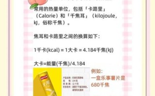 千焦与千卡怎么换算_1千焦等于多少千卡