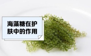 海藻糖是什么糖_海藻糖与普通糖区别