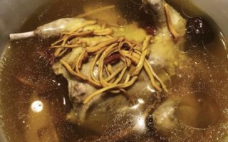 虫草炖鸽子的做法_虫草炖鸽子有什么功效 虫草炖鸽子的做法_虫草炖鸽子有什么功效