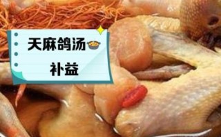 天麻鸽子汤的功效与作用_适合什么人喝