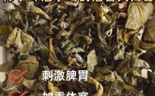 柿子叶茶的功效与作用_柿子叶茶能降血压吗