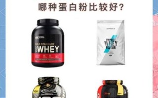 蛋白质粉的功效与作用适合什么人吃_健身增肌人群必须吃吗