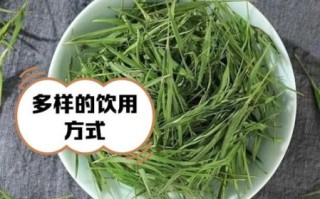 淡竹叶喝多了的副作用_淡竹叶泡水一天喝多少合适